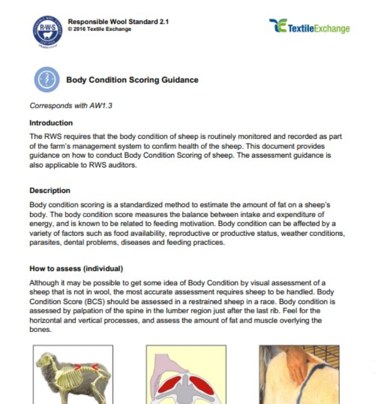 RAF-211a RWS Body Condition Scoring Guidance - Textile Exchange